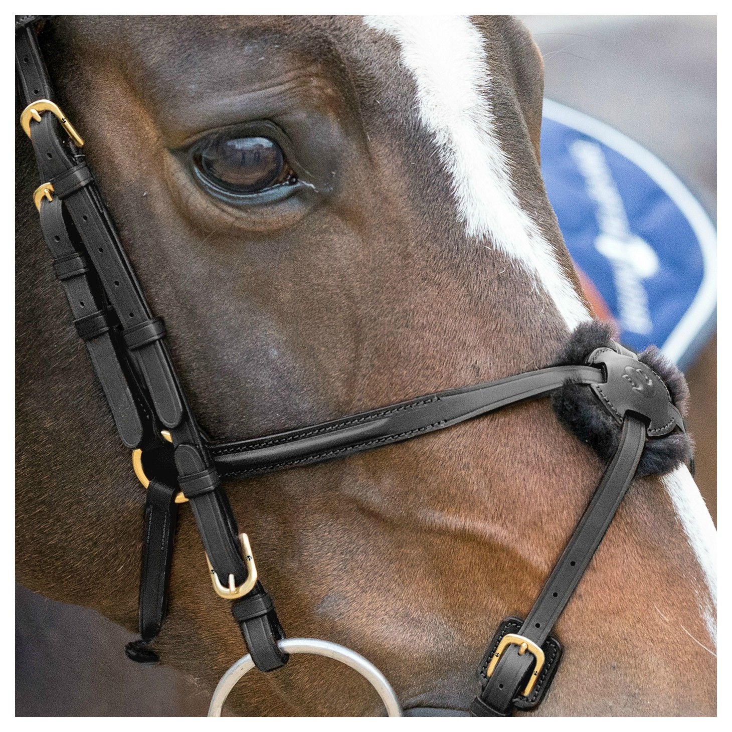 Snaffle bridle figure eight